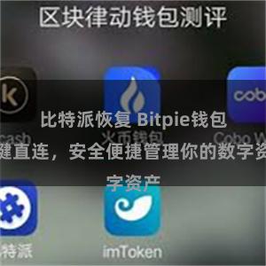 比特派｜全球领先的多链钱包｜Bitpie Wallet 官方下载 | Bitpie全球版 | 比特派扫码| Bitpie扫码